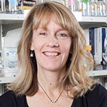 Basic Sciences Annual Report 2024 | Fred Hutchinson Cancer Center