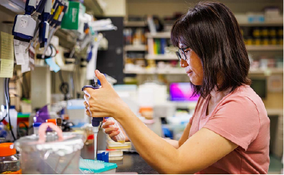 Basic Sciences Annual Report 2024 | Fred Hutchinson Cancer Center