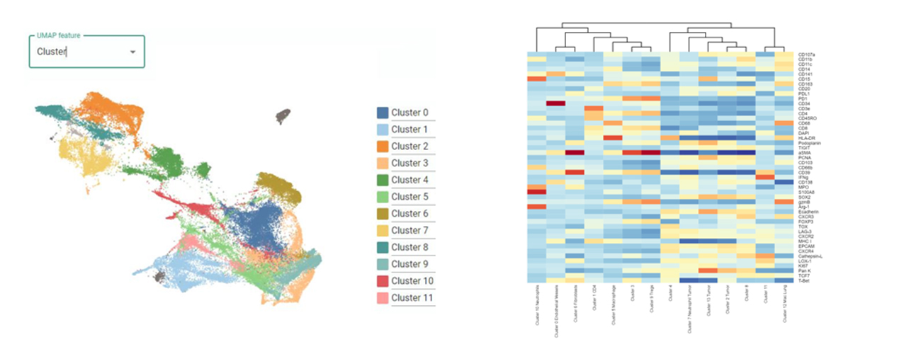Translational Pathology | Fred Hutchinson Cancer Center