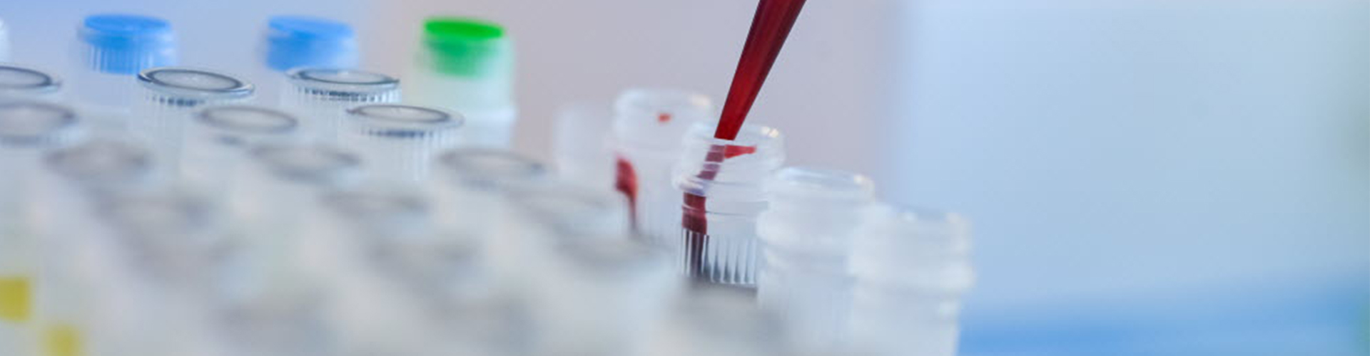 Cancer Screening Research Network | Fred Hutchinson Cancer Center