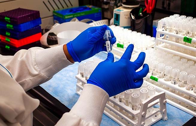 International Histocompatibility Working Group - Fred Hutch