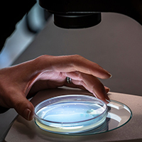 Stuart and Molly Sloan Precision Oncology Institute | Fred Hutchinson ...