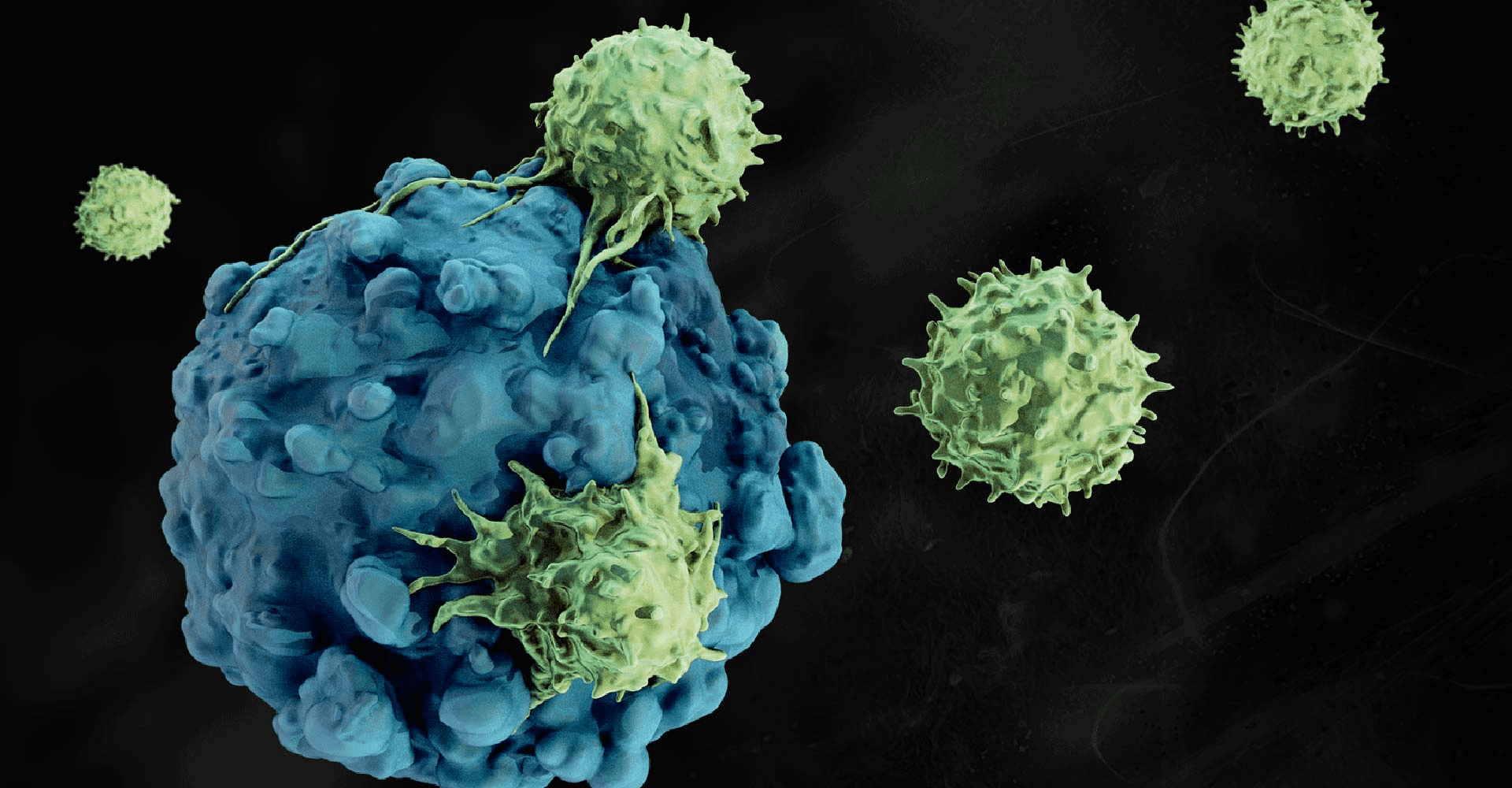 Immunotherapy - Fred Hutch