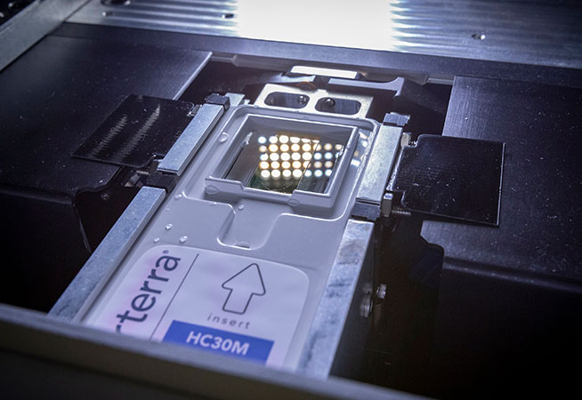 Antibody Technology: Characterization Services | Fred Hutchinson Cancer ...