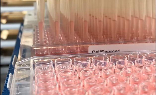 Antibody Technology: Production Services | Fred Hutchinson Cancer Center