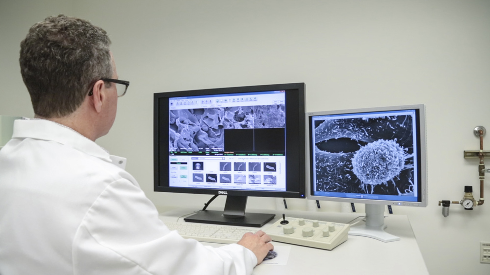 Electron Microscopy: TEM and SEM Services | Fred Hutchinson Cancer Center