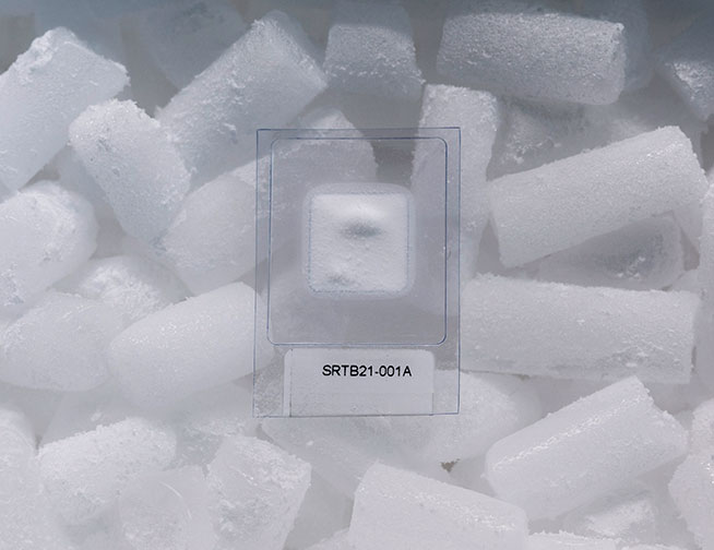 Experimental Histopathology: Histology Services | Fred Hutchinson ...