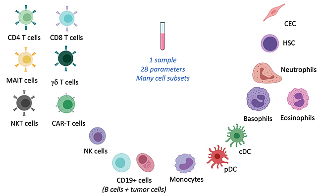 flow cytometry markers