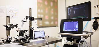 Preclinical Imaging: Imaging Equipment and Support | Fred Hutchinson ...